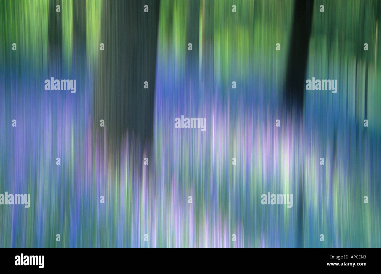 Trunks impression hi-res stock photography and images - Alamy