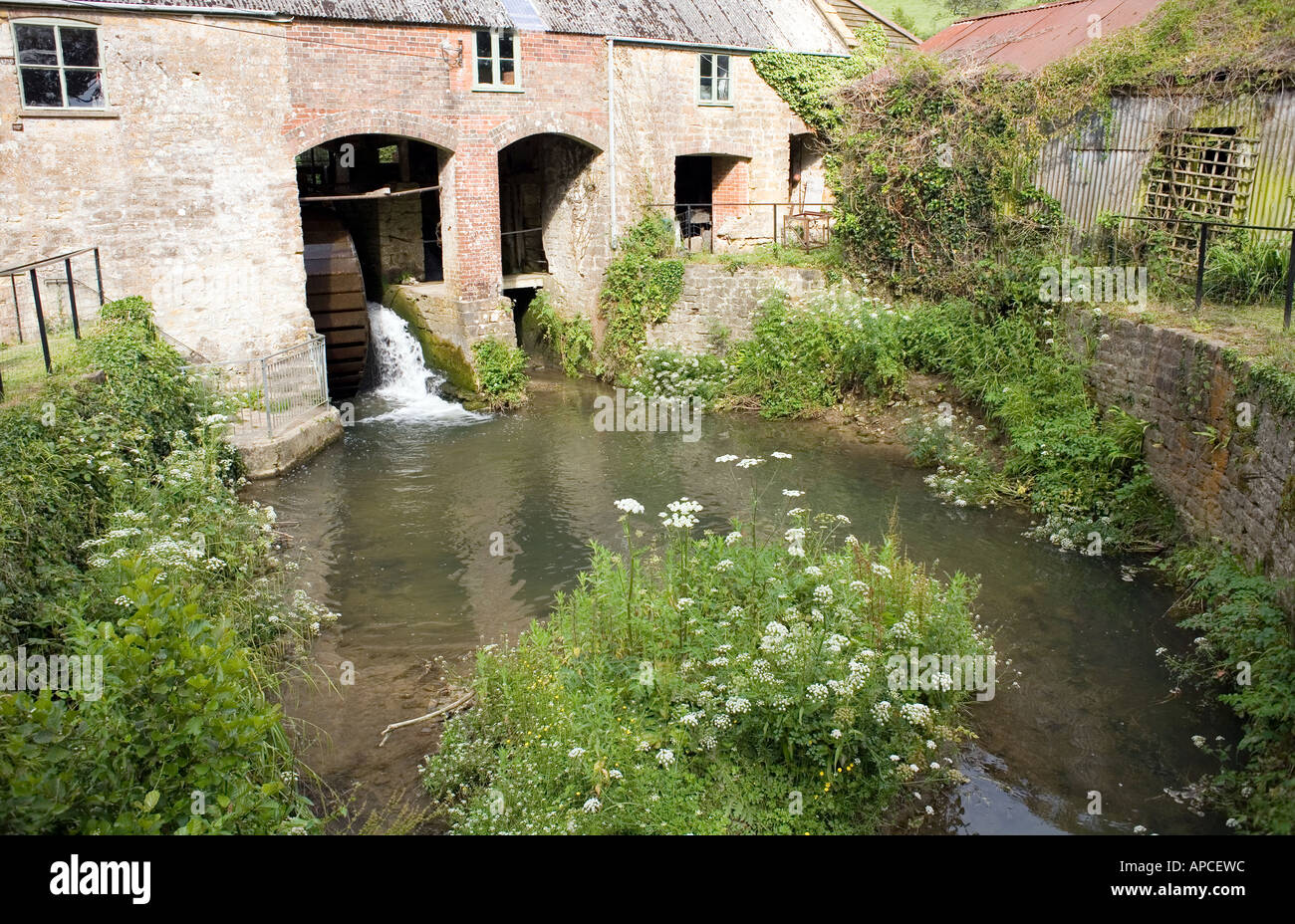 Mangerton Mill near Bridport, Dorset, England, UK Stock Photo - Alamy