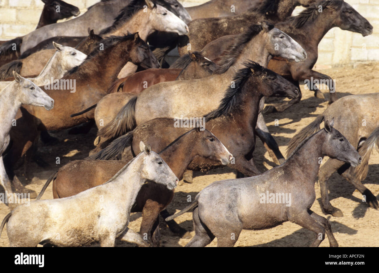 Group motion hi-res stock photography and images - Alamy