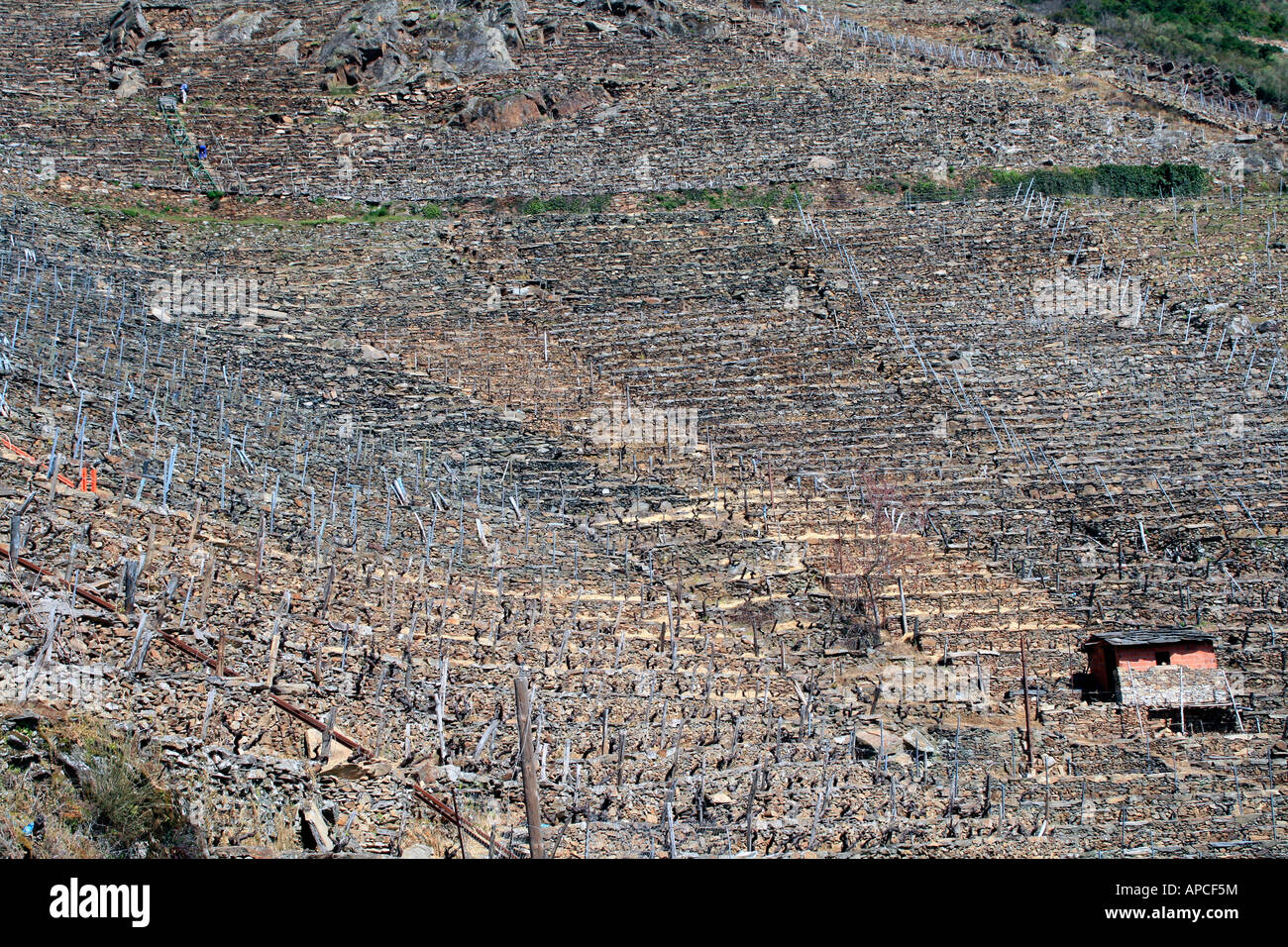 Roman terracing hi-res stock photography and images - Alamy