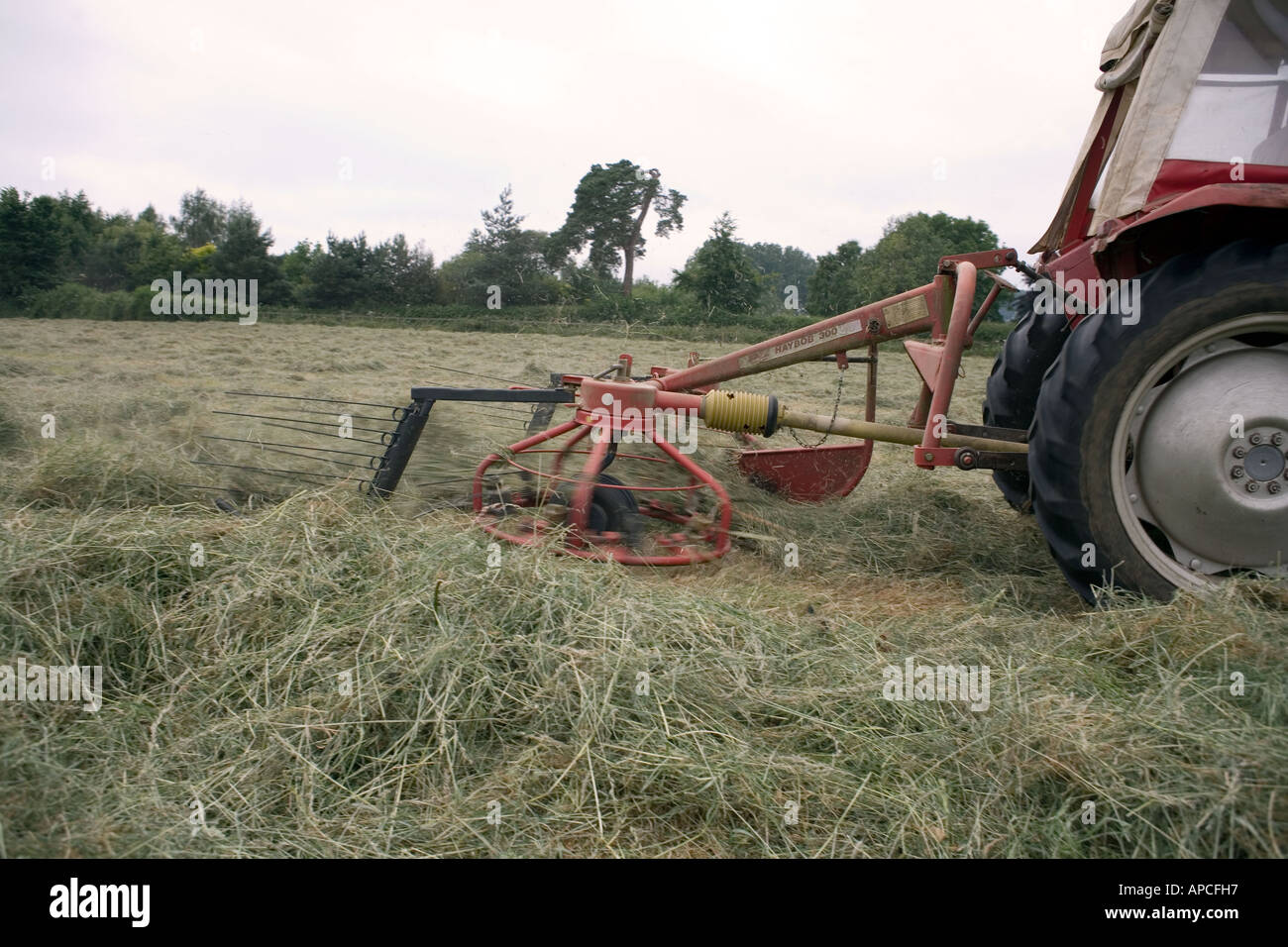 Hay make making turn turning Massey Ferguson multi power tractor land ...