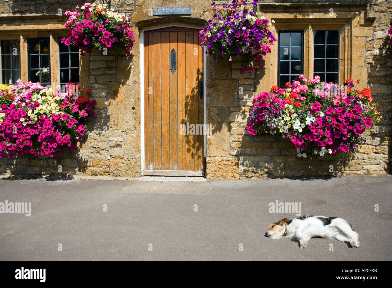 Sleeping cox hi-res stock photography and images - Alamy