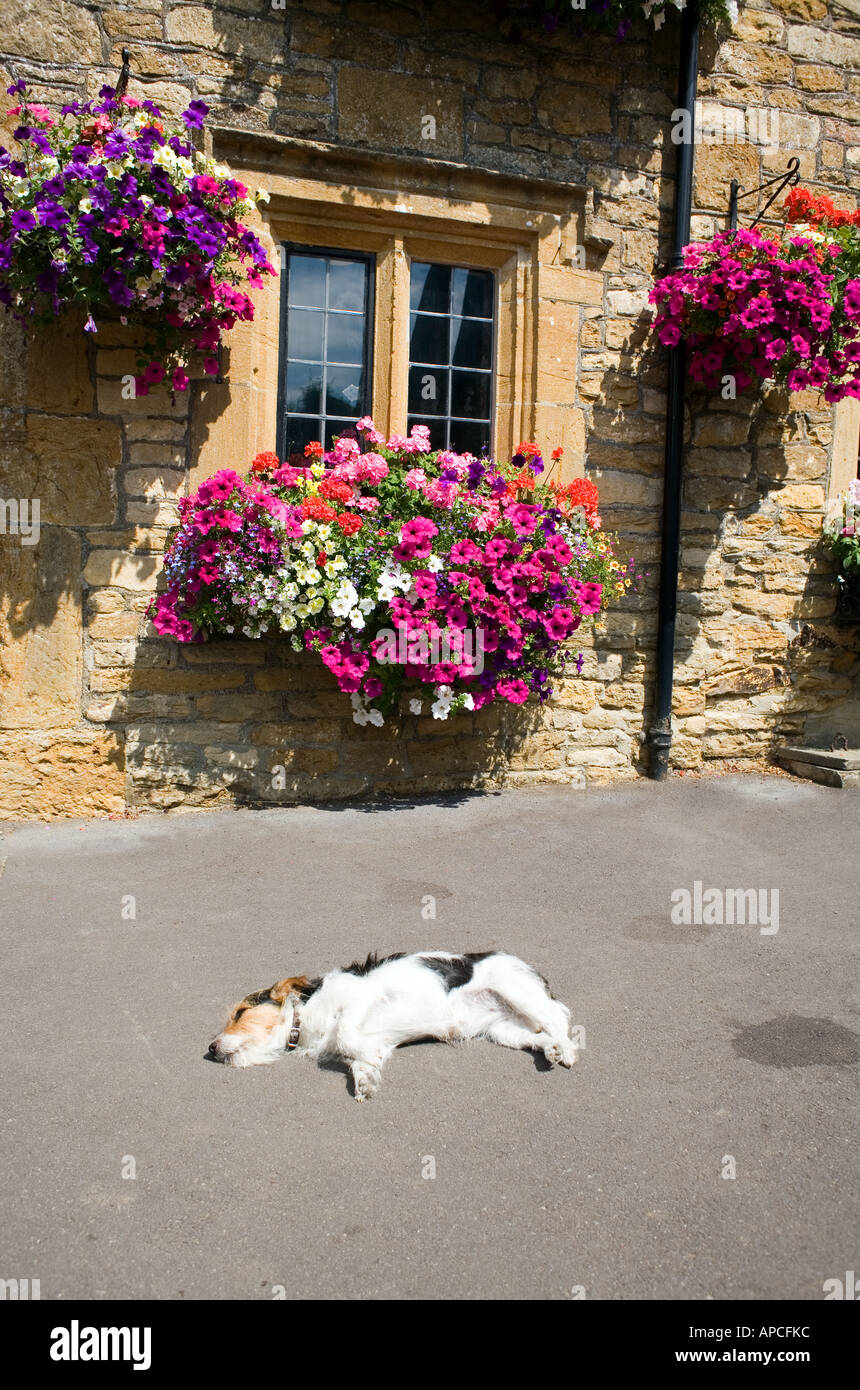 Russell inn hi-res stock photography and images - Alamy