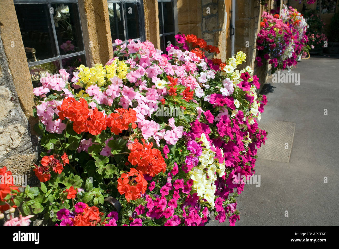 Flowers decorate the window of The Muddled Man Pub, West Chinnock ...