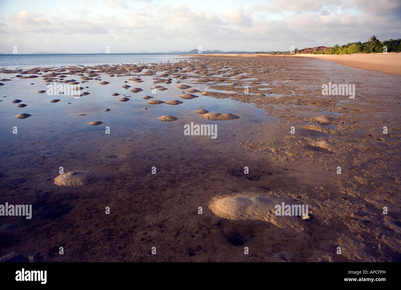Seisia queensland hi-res stock photography and images - Alamy