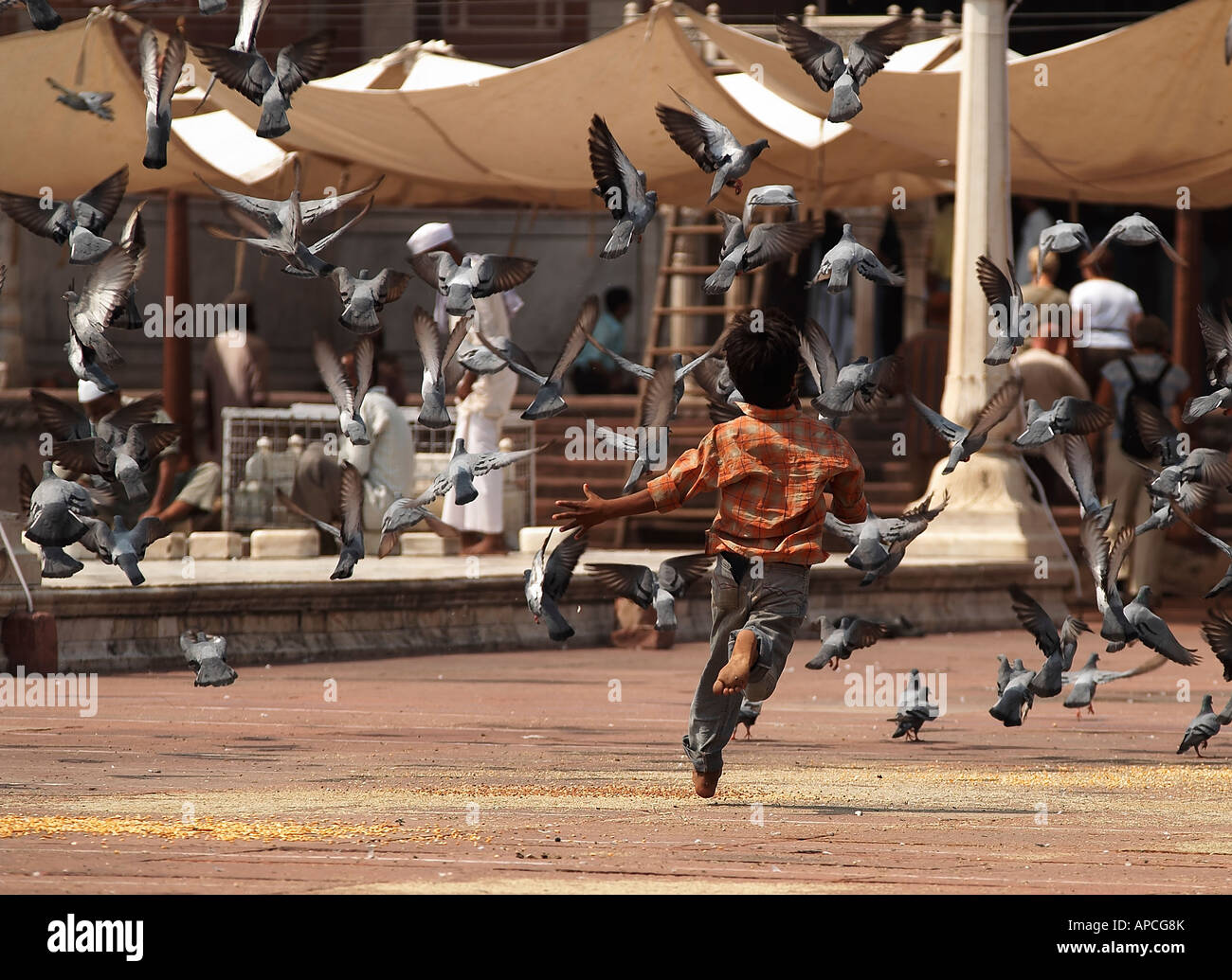 Boy running through group of pigeons turning them to flight Stock Photo ...