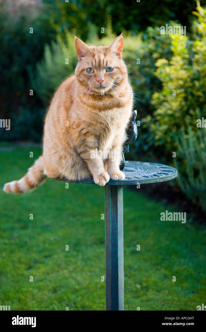 Fa0109a e00103 hi-res stock photography and images - Alamy