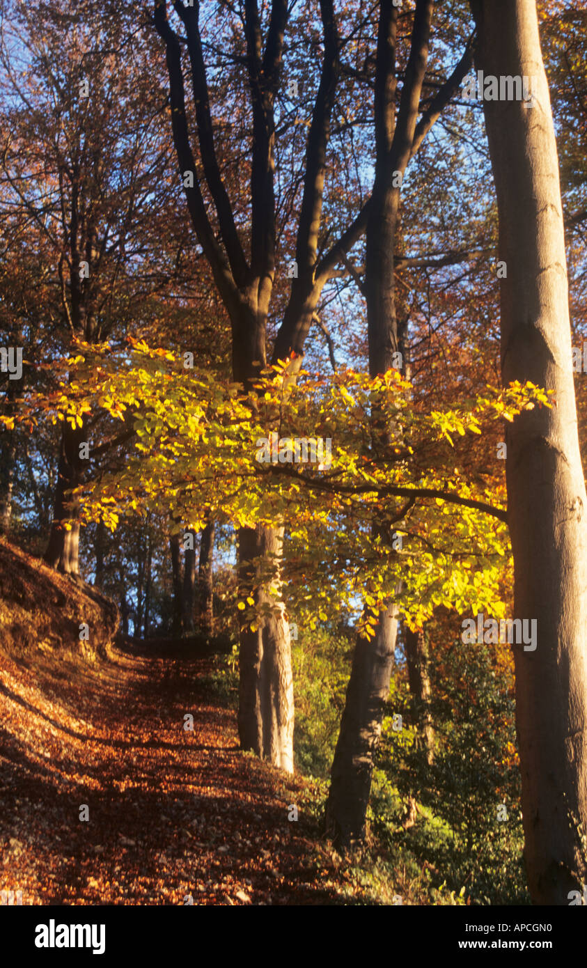 Birdlip cotswolds england gloucestershire hi-res stock photography and ...