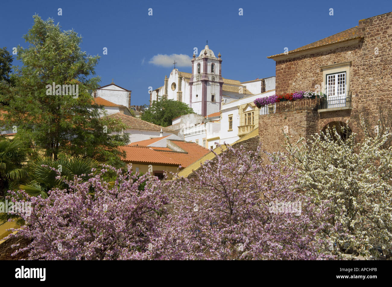 Flowering trees hi-res stock photography and images - Alamy
