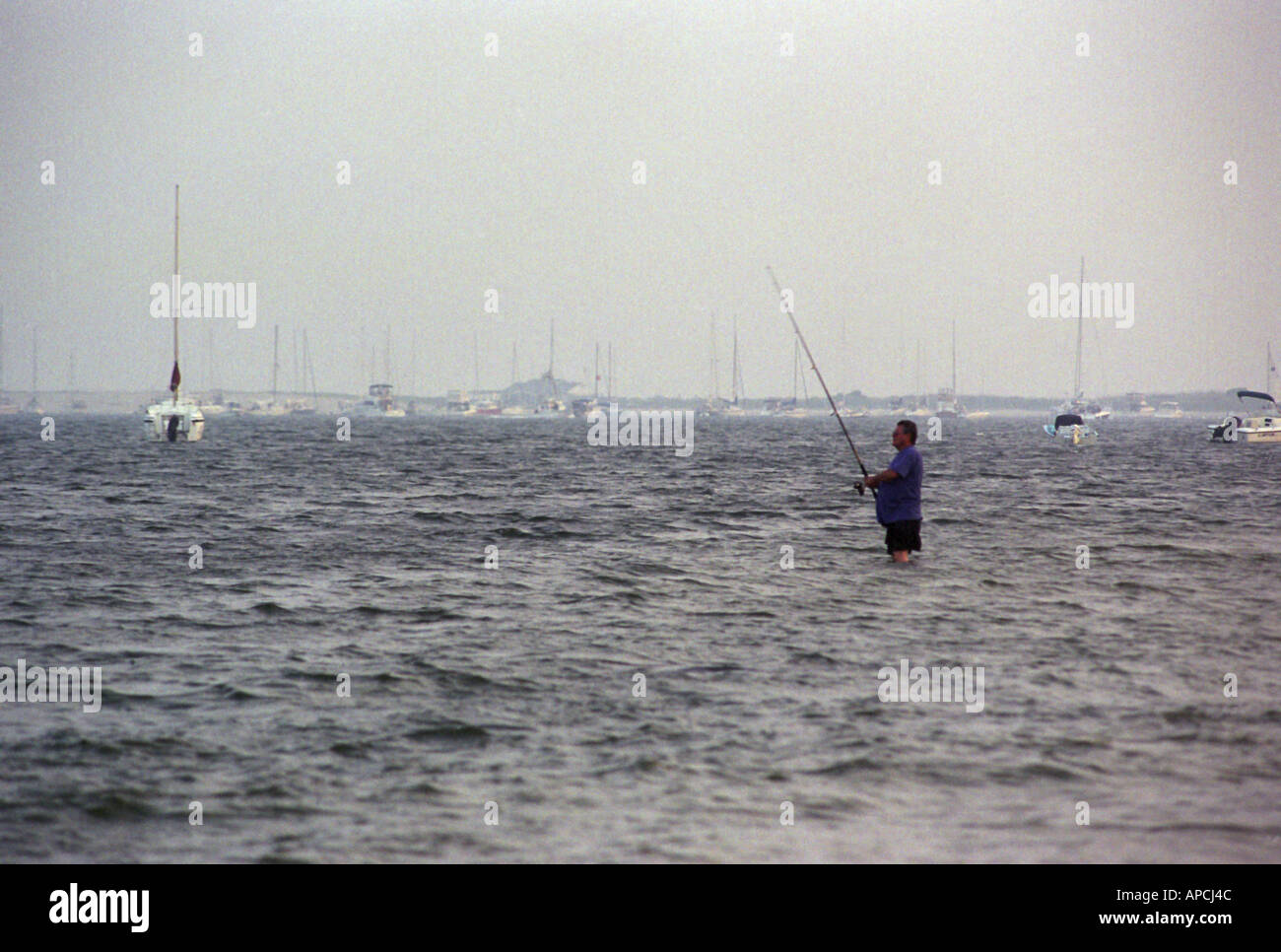 Shore fishing in Cape Cod Massachusetts Stock Photo - Alamy