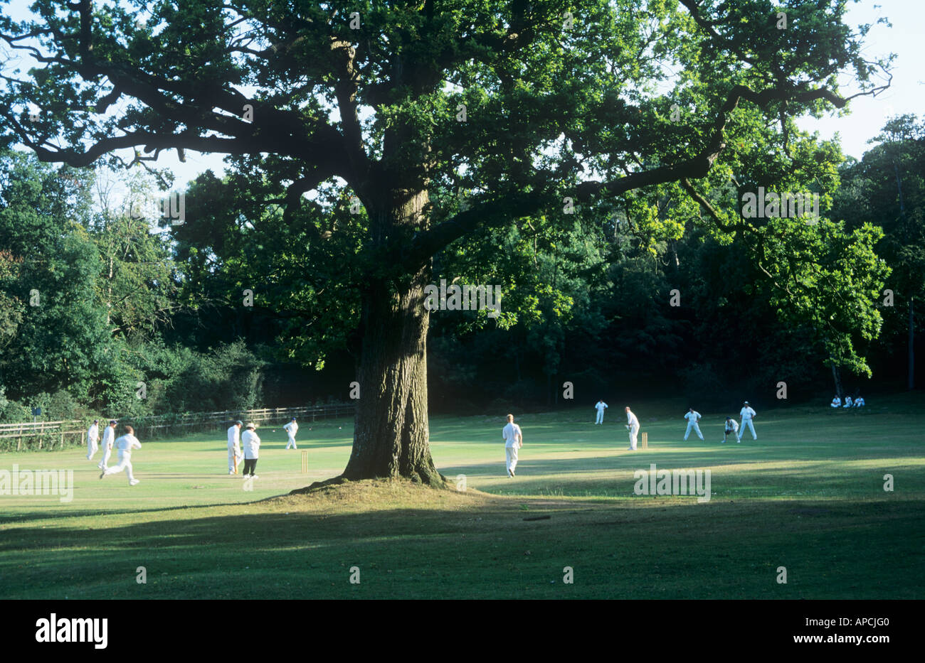 England cricket image hi-res stock photography and images - Alamy