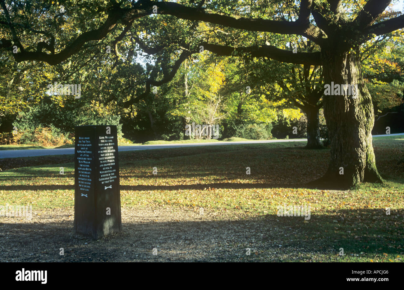 The Rufus Stone, Upper Canterton, near Brook, the New Forest National ...