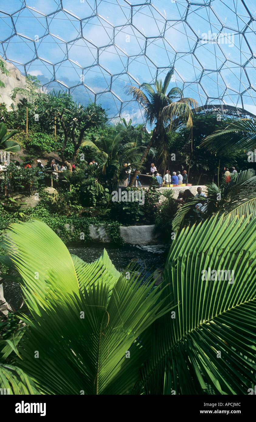 Humid Tropics Biomes High Resolution Stock Photography and Images - Alamy