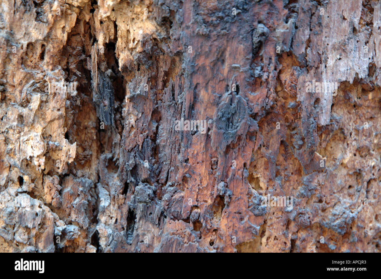 get out of hand Stock Photo - Alamy