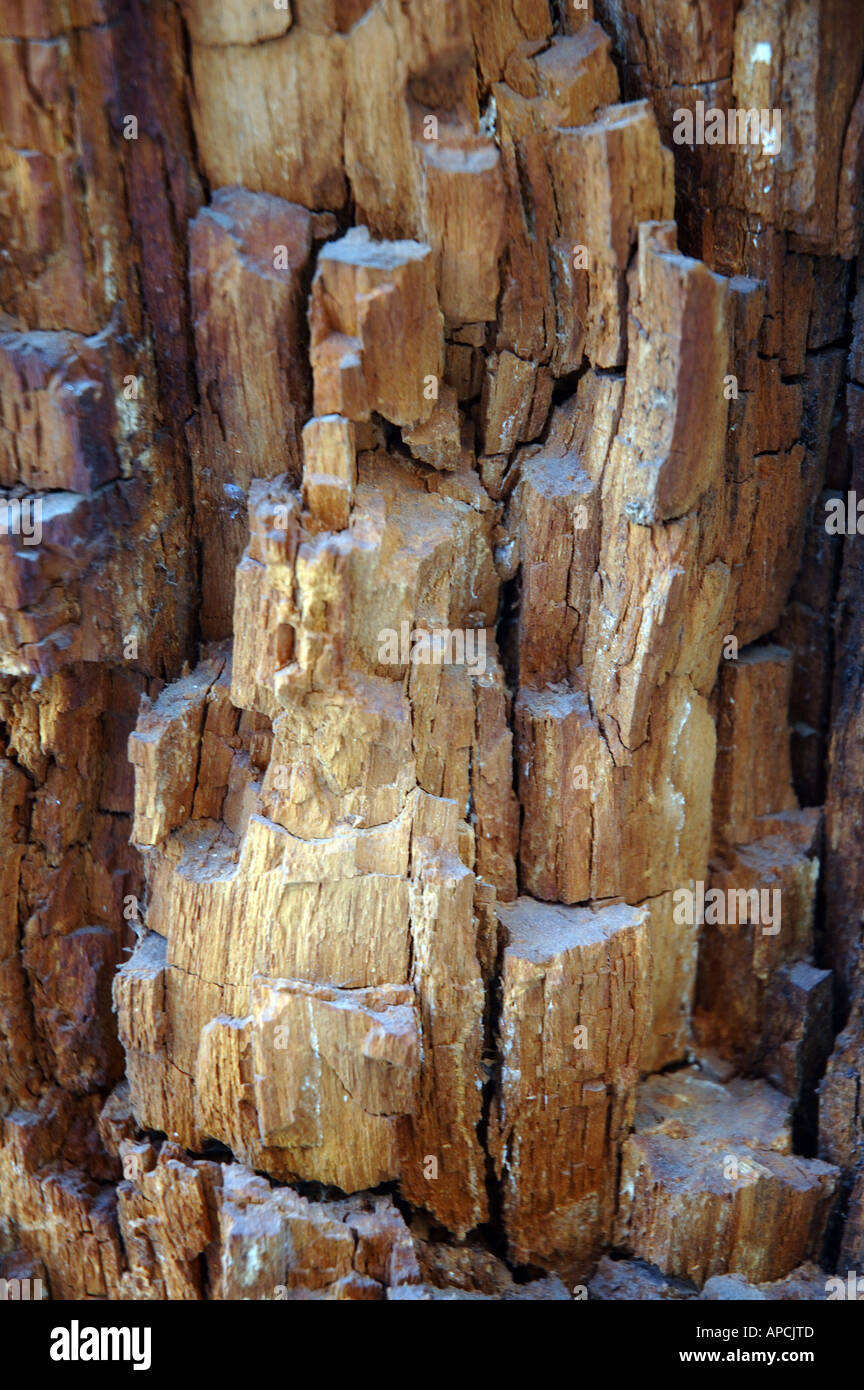 get out of hand Stock Photo - Alamy