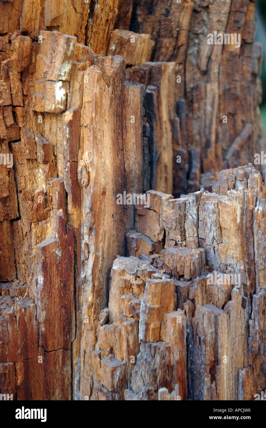 get out of hand Stock Photo - Alamy