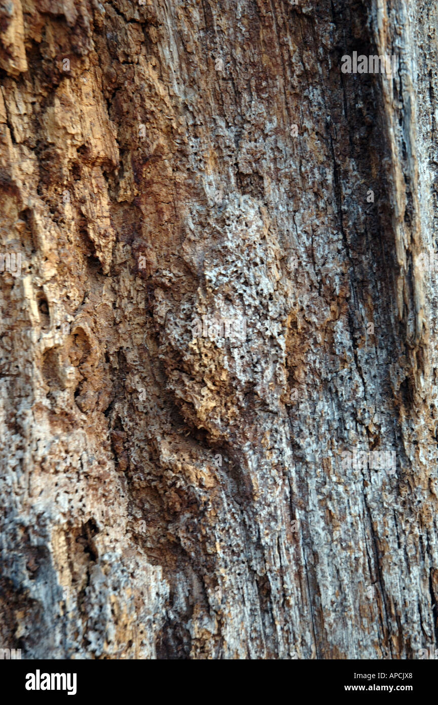 get out of hand Stock Photo - Alamy