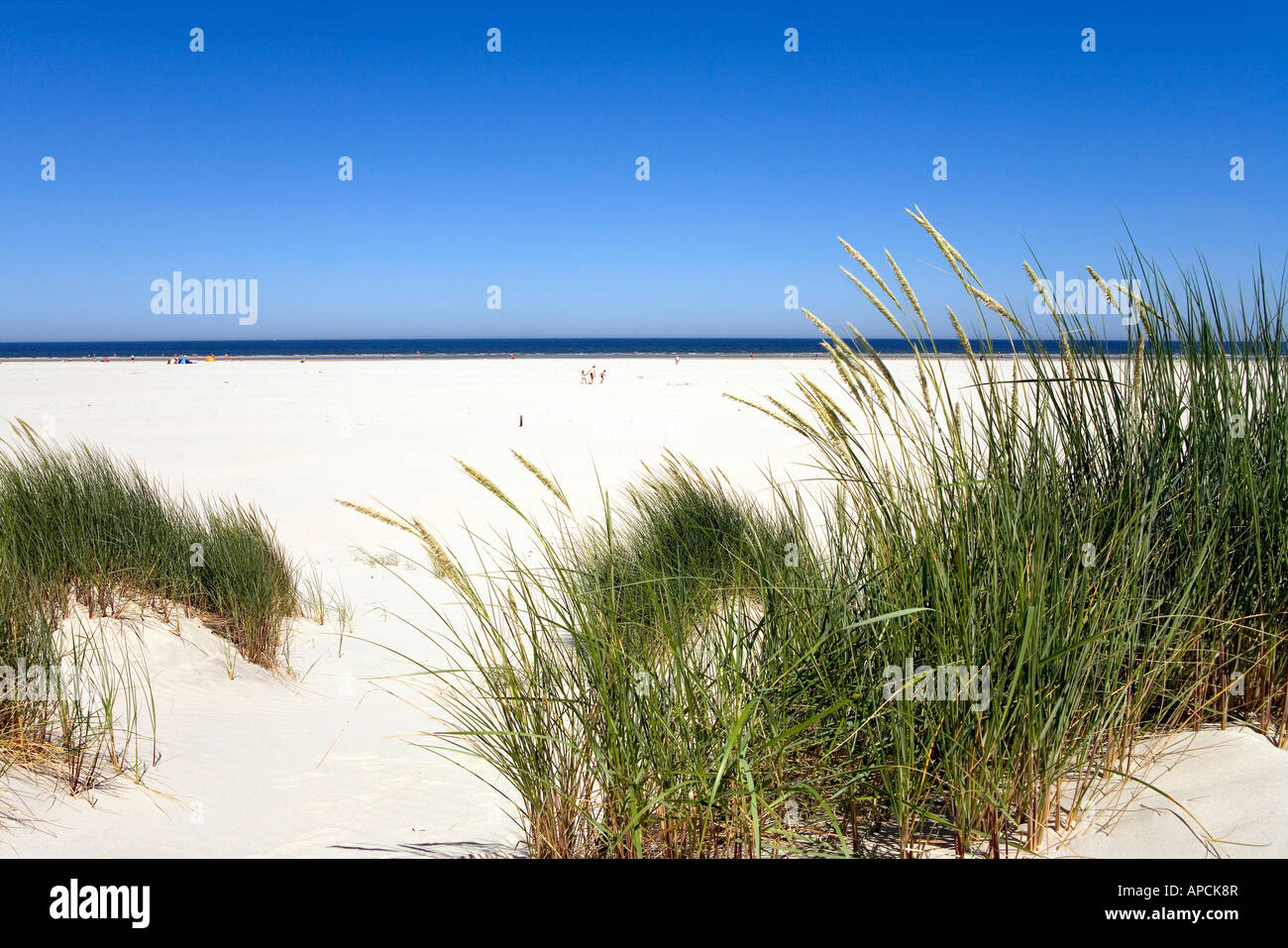 Juist, the East Frisians, Germany Stock Photo - Alamy