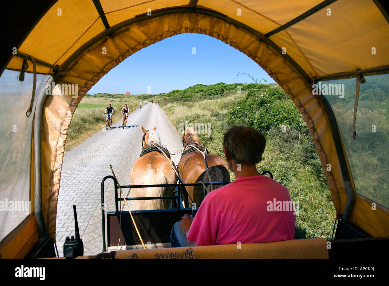 Frisians horse hi-res stock photography and images - Alamy