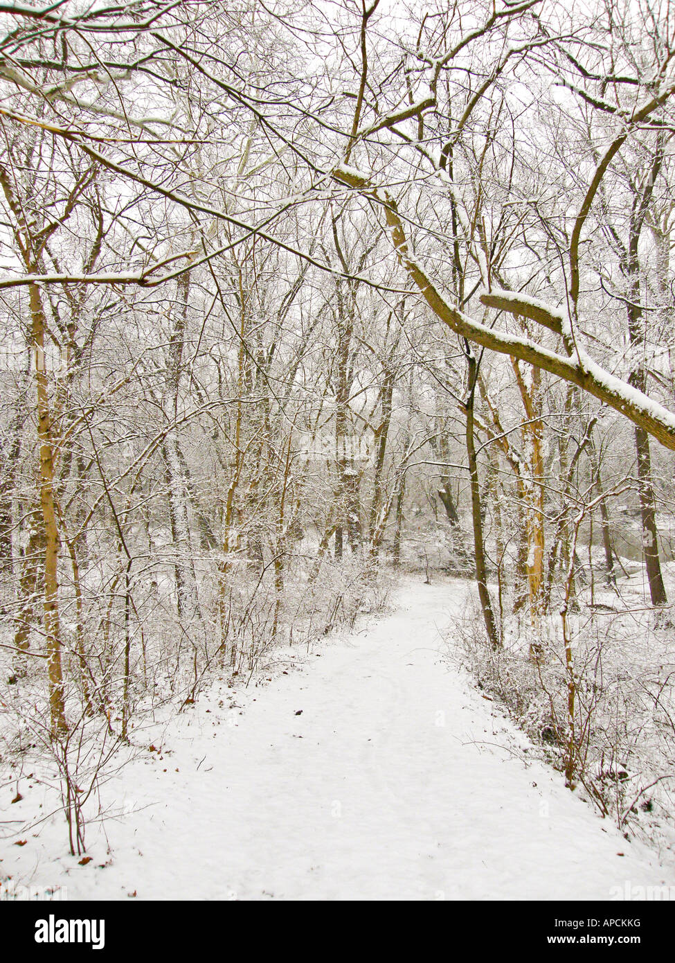 Forest lock hi-res stock photography and images - Alamy