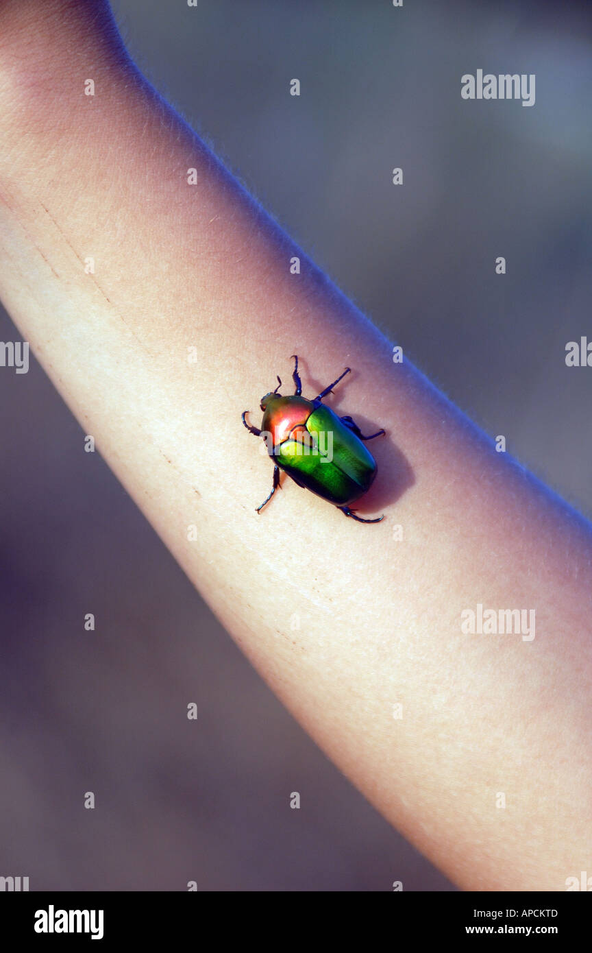 out of harms way Stock Photo - Alamy