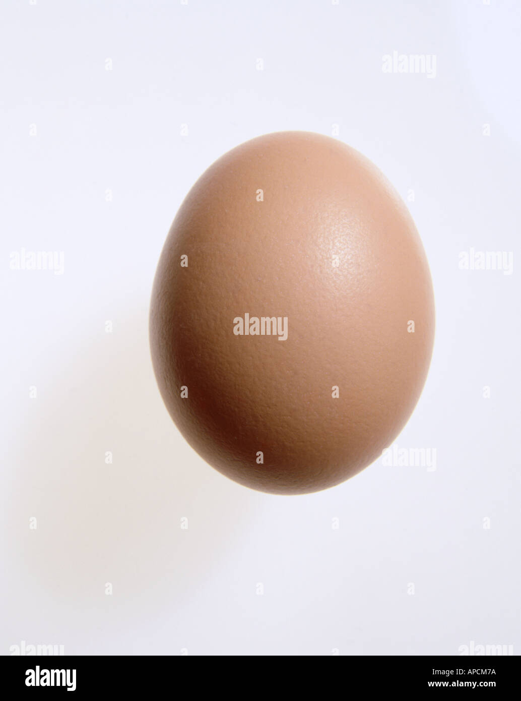 Single egg on white background Stock Photo - Alamy