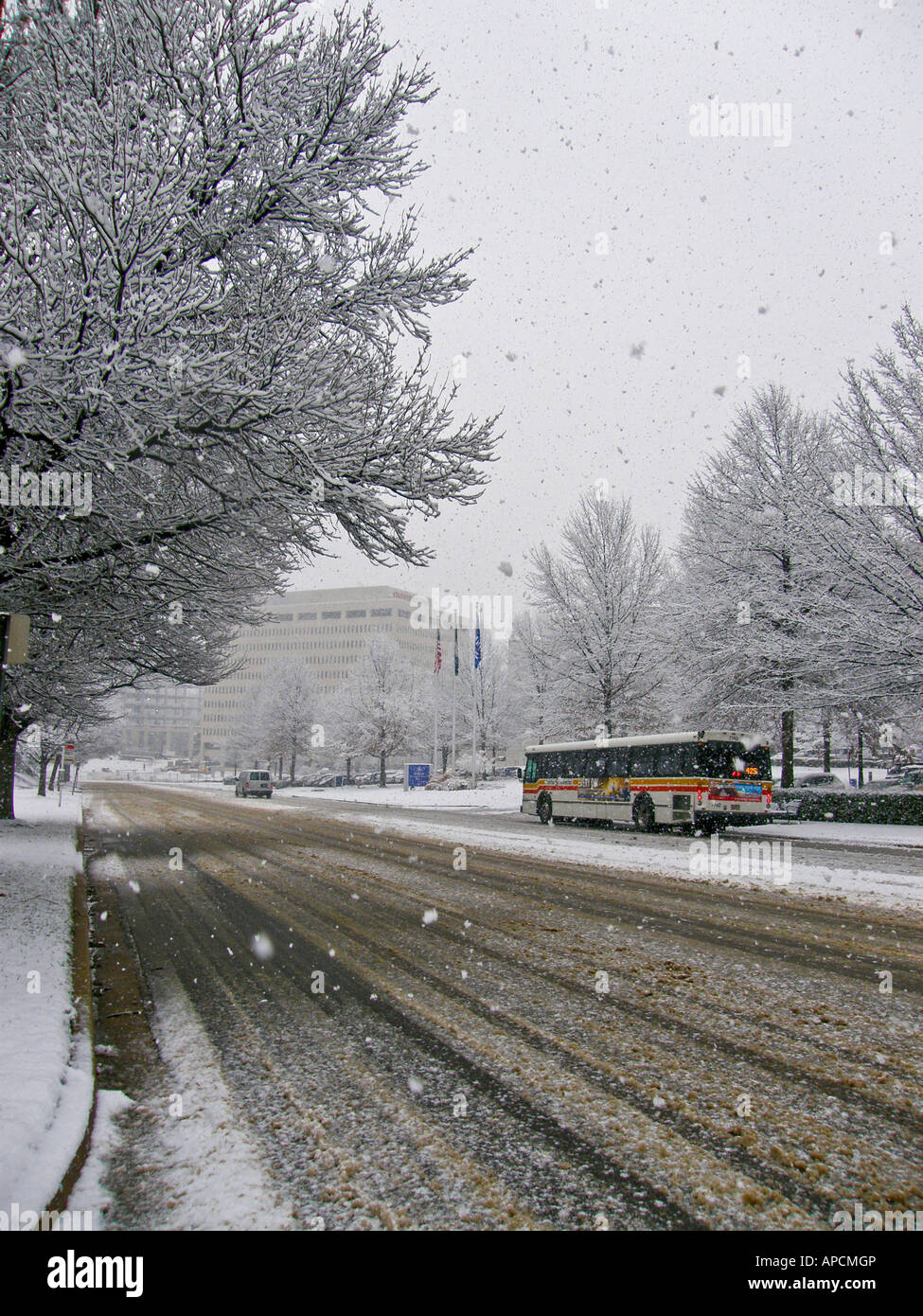 Road in forest during snowfall hi-res stock photography and images - Alamy