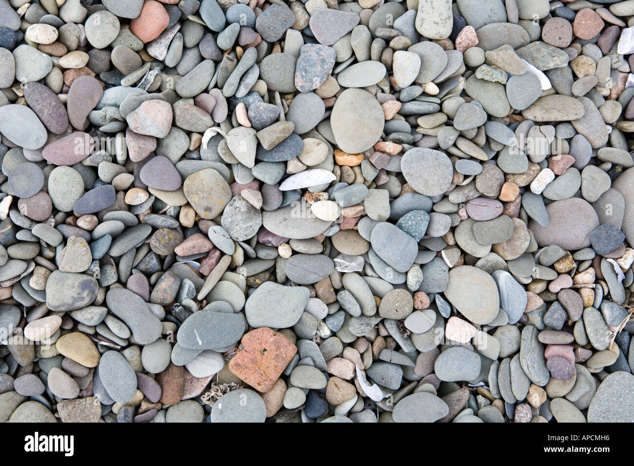 Close up of smooth flat beach pebbles Stock Photo - Alamy