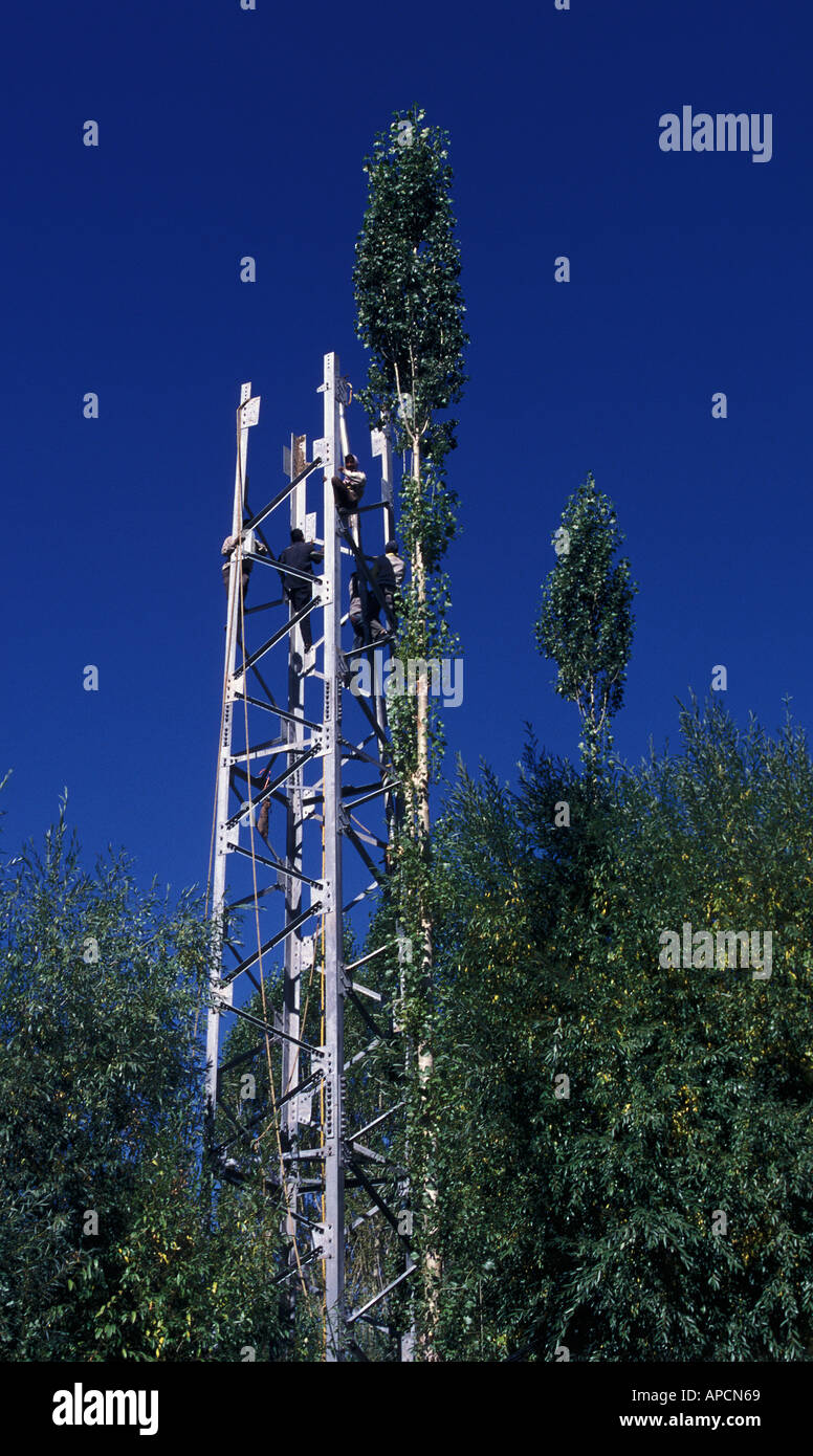 Workers constructing telecom tower Stock Photo - Alamy