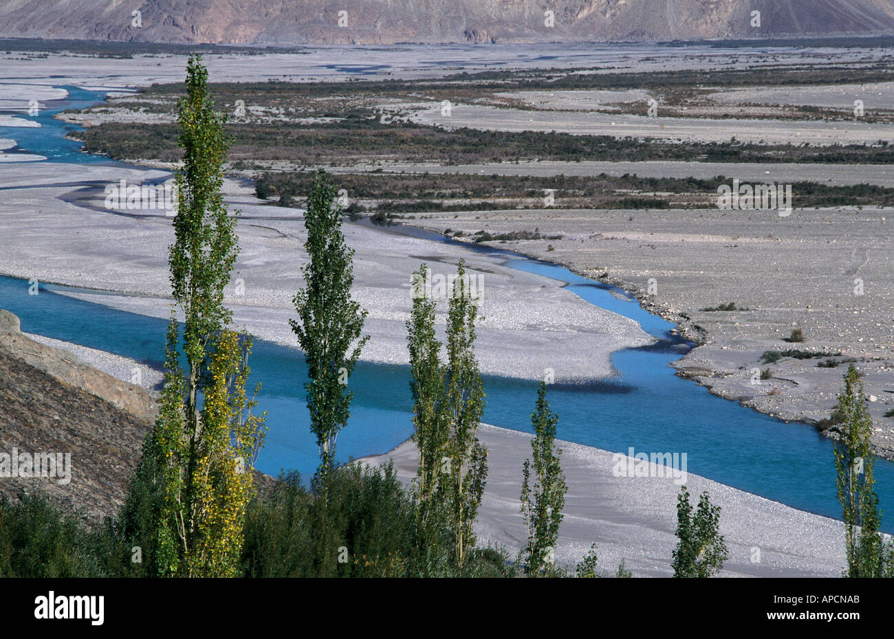 Shyok river in the Nubra Valley, India Stock Photo - Alamy