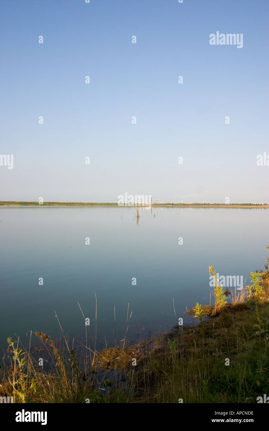 Frodsham Marsh with Ince Power Station Stock Photo - Alamy