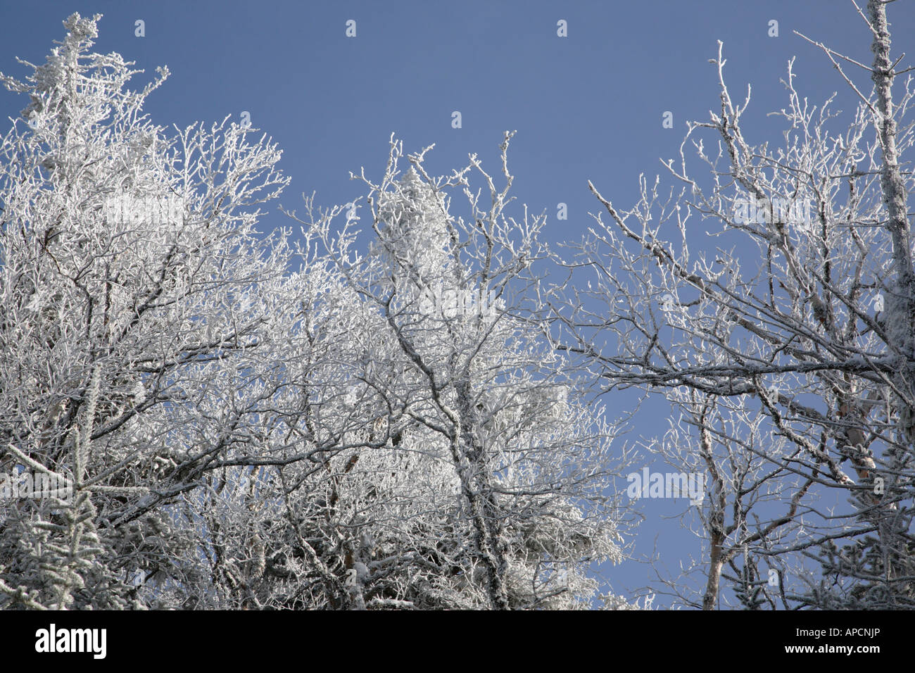 North Carter Trail during the winter months in the scenic landscape of ...