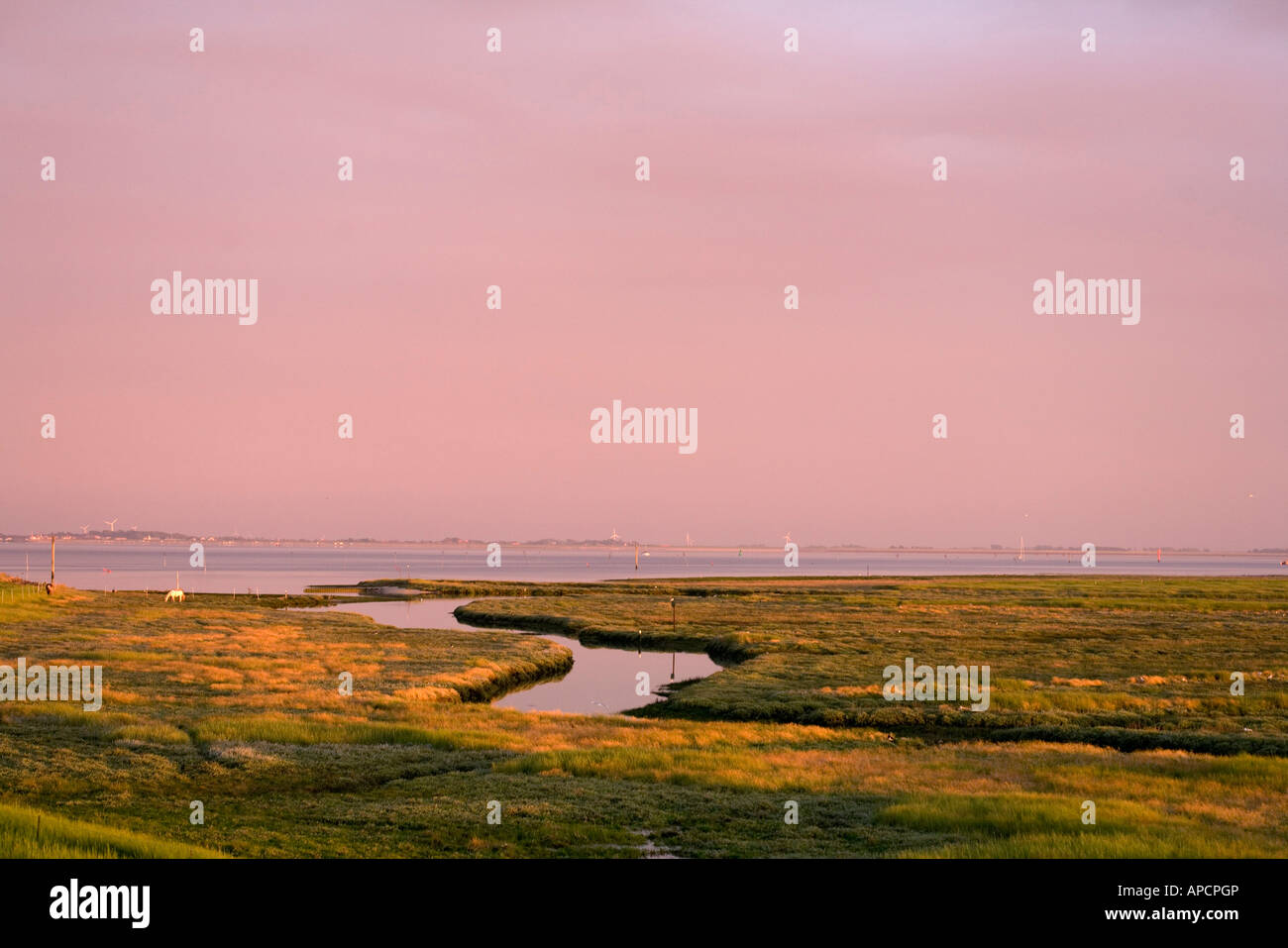 Spiekeroog Island, Eastern Frisian Islands, Germany Stock Photo - Alamy