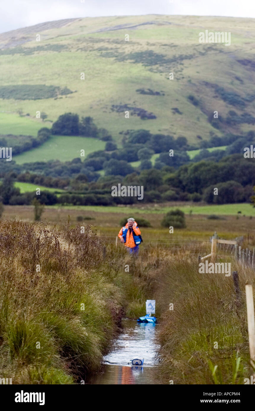 World championsips hi-res stock photography and images - Alamy