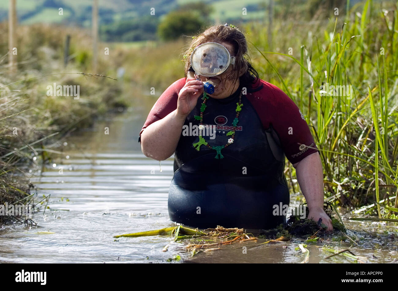 World championsips hi-res stock photography and images - Alamy