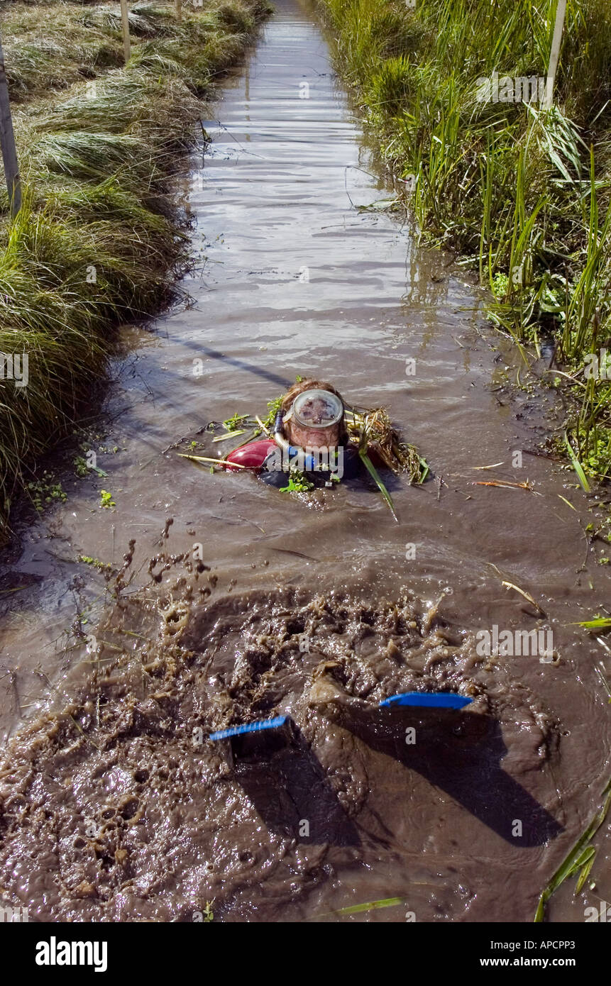 The 21st World Bog Snorkelling Championships in Llanwrtyd Wells, Mid ...