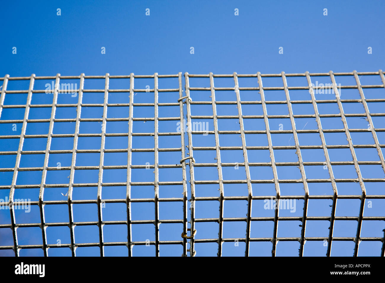 Kingdom protector hi-res stock photography and images - Alamy