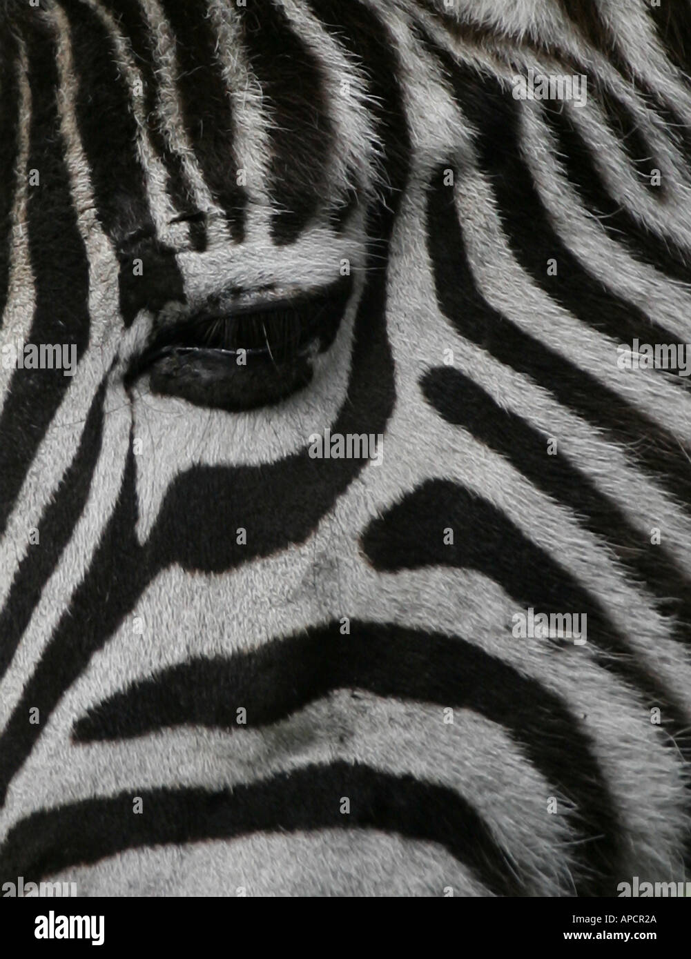 Opposite pattern hi-res stock photography and images - Alamy