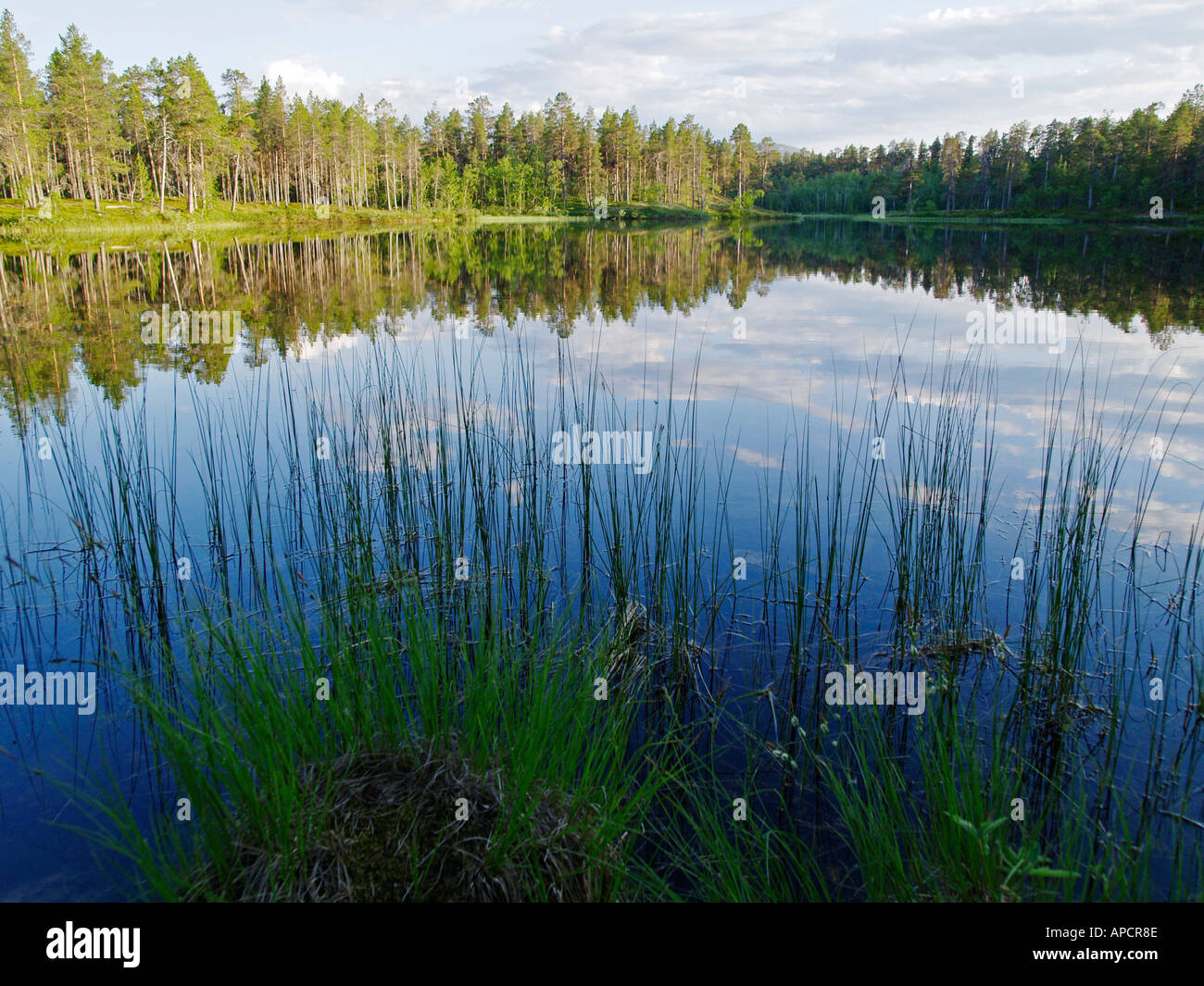 Lemmenjoki national park hi-res stock photography and images - Alamy
