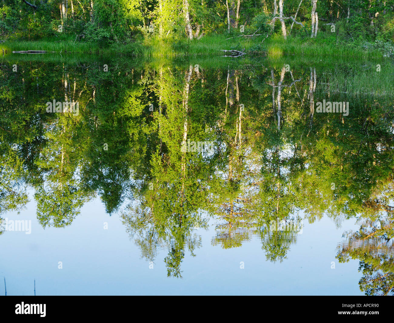 Lemmenjoki hi-res stock photography and images - Alamy