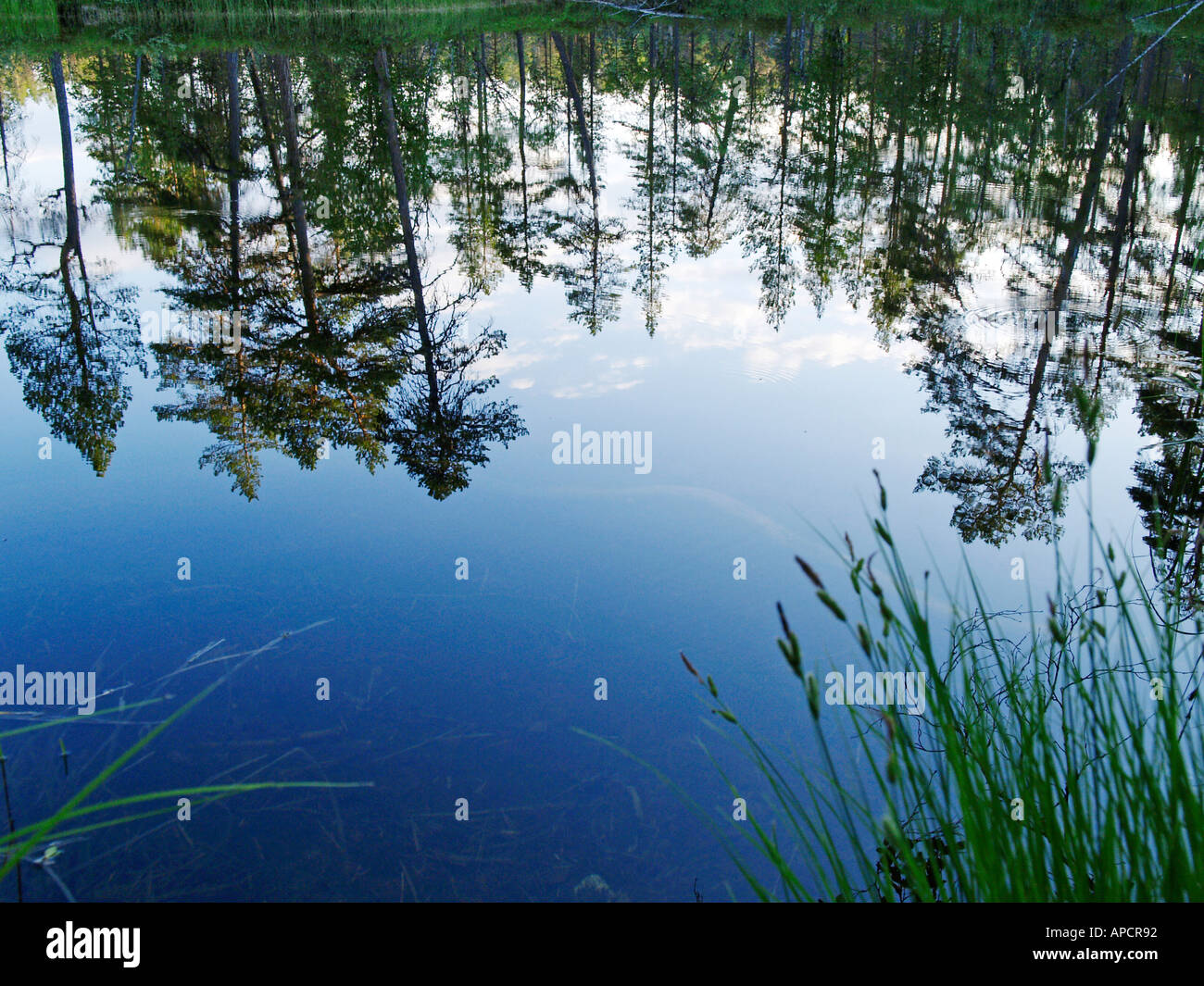 Lemmenjoki hi-res stock photography and images - Alamy