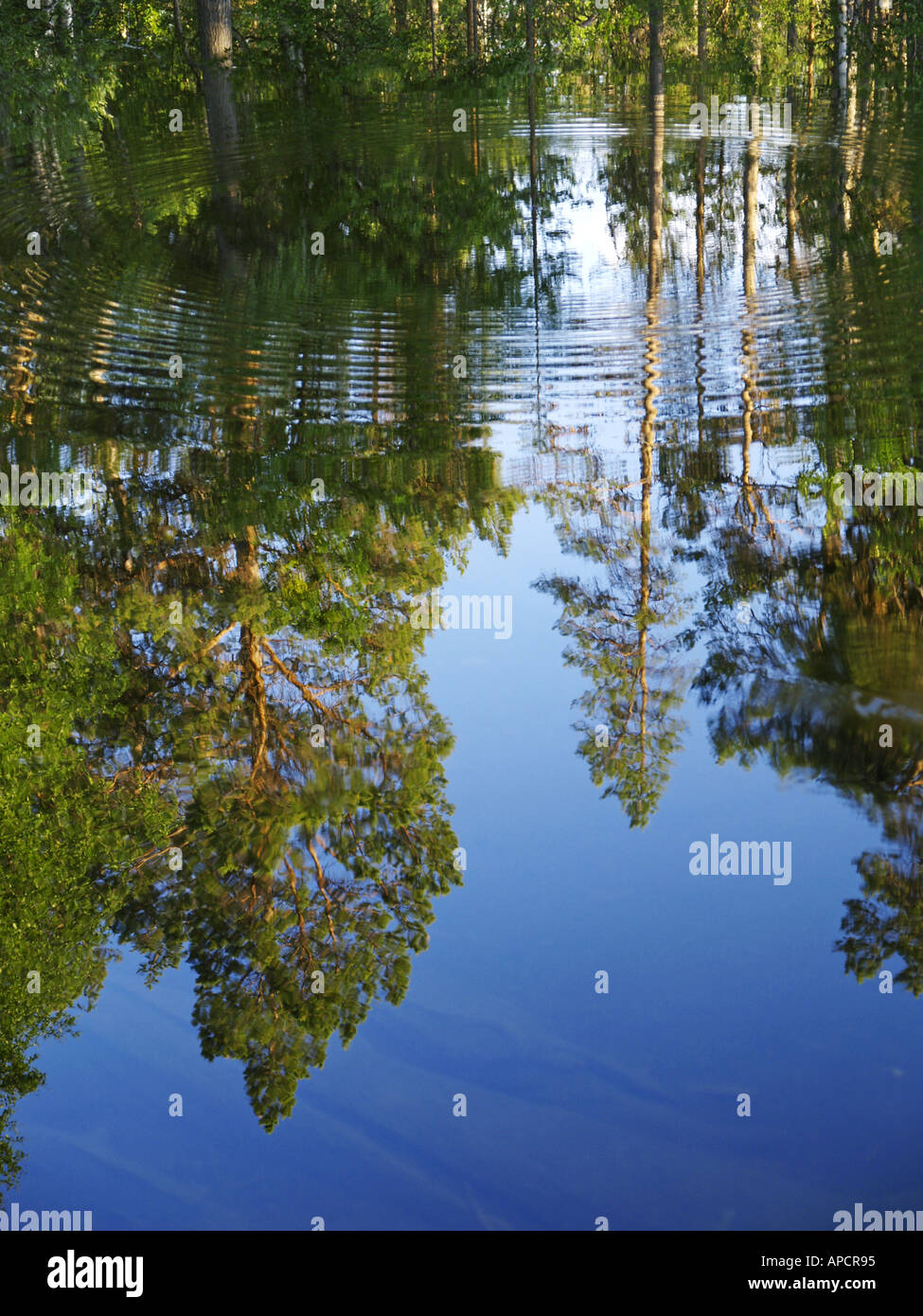 Lemmenjoki national park hi-res stock photography and images - Alamy