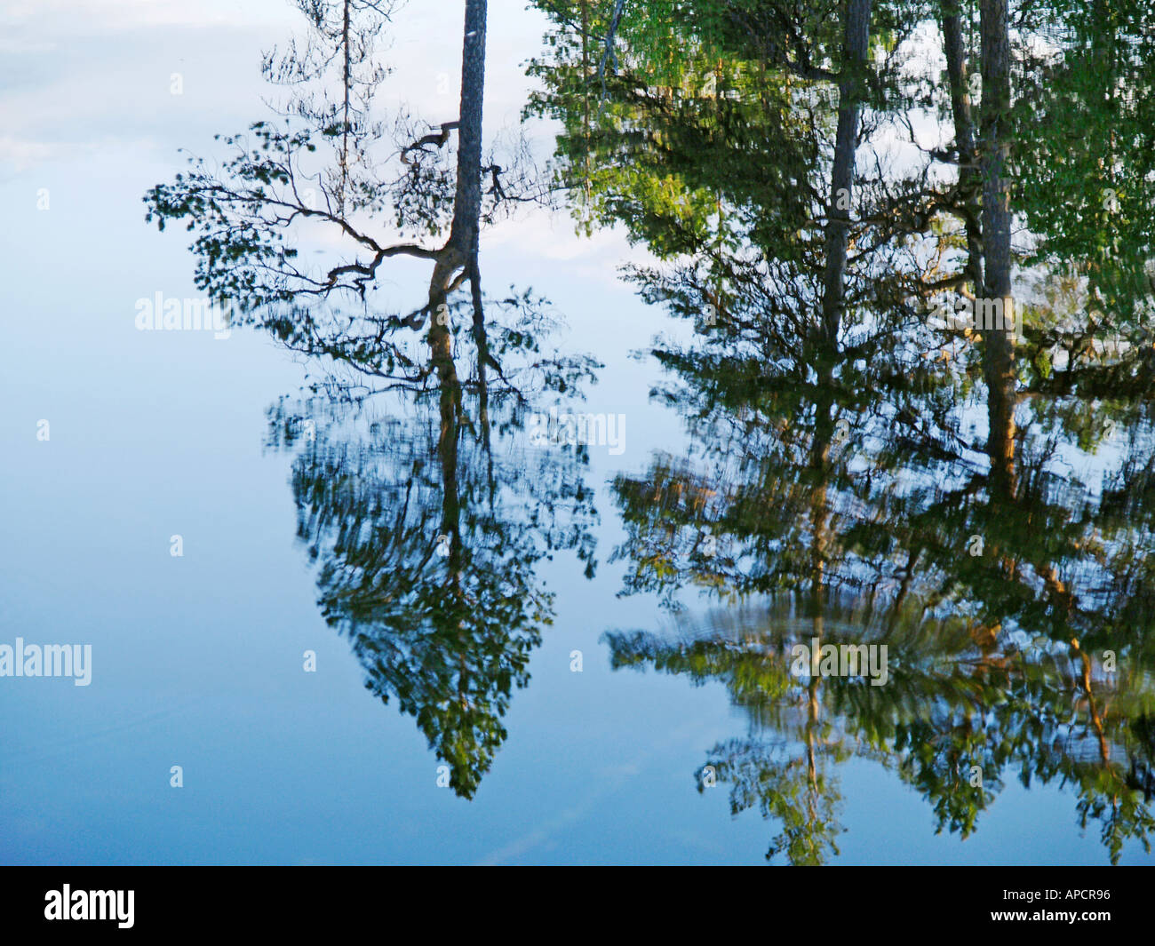 Lemmenjoki hi-res stock photography and images - Alamy