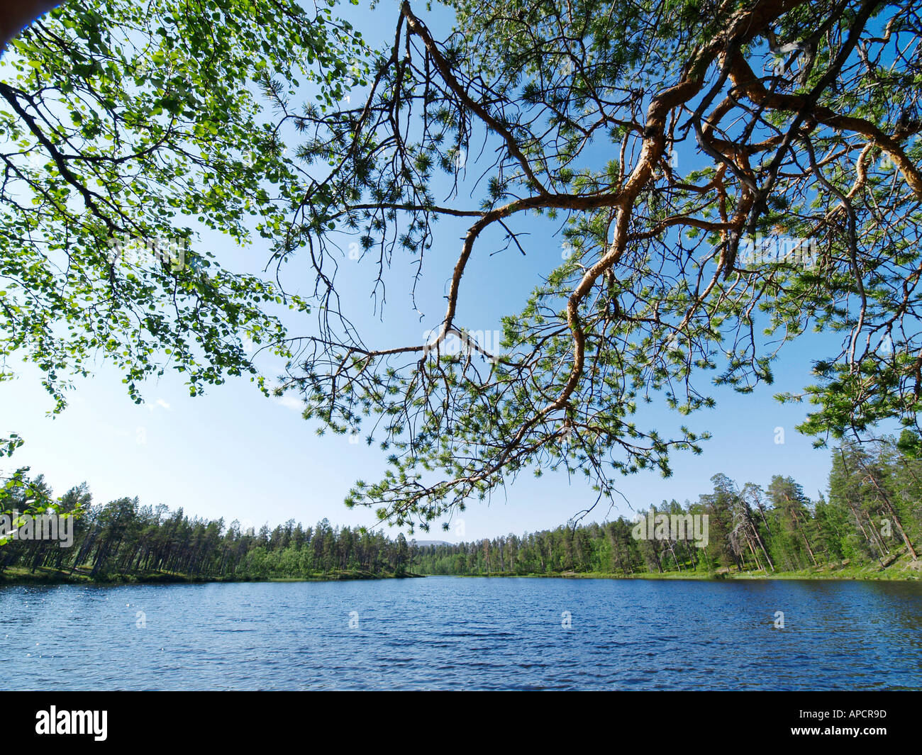 Lemmenjoki national park hi-res stock photography and images - Alamy