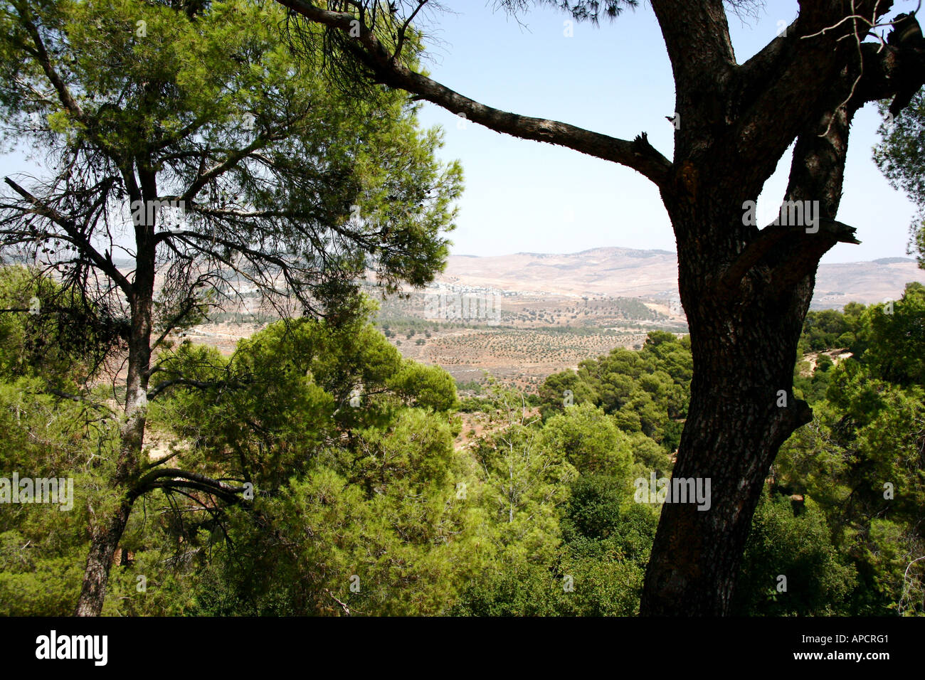 Dibeen forest jordan hi-res stock photography and images - Alamy