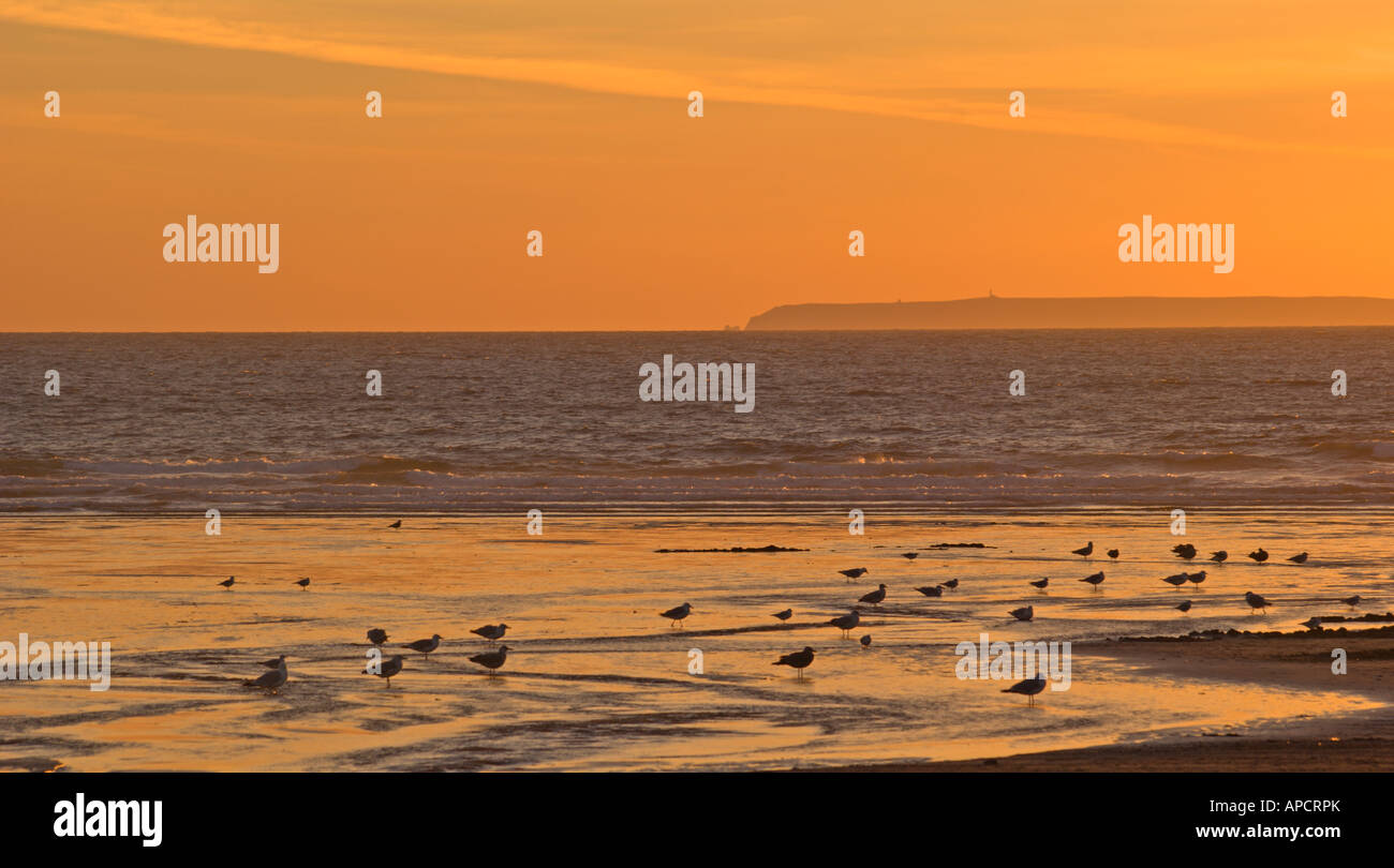 Woolacombe lundy hi-res stock photography and images - Alamy