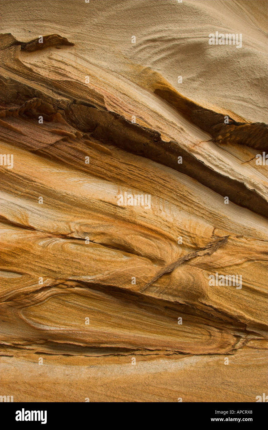 Patterns in sandstone cliff face at Cronulla Sydney NSW Australia Stock ...