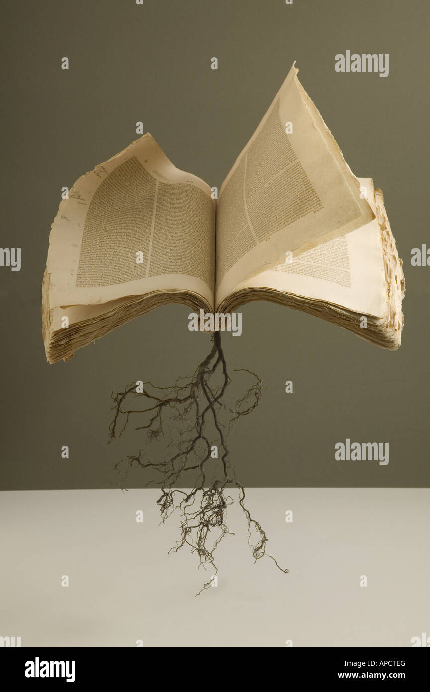 Book sprouting roots Stock Photo - Alamy