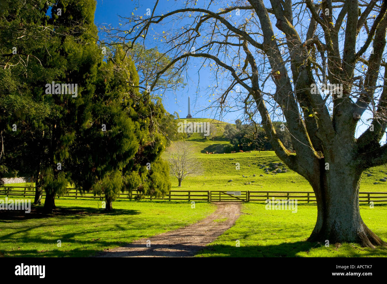 One Tree Hill Auckland New Zealand Stock Photo - Alamy