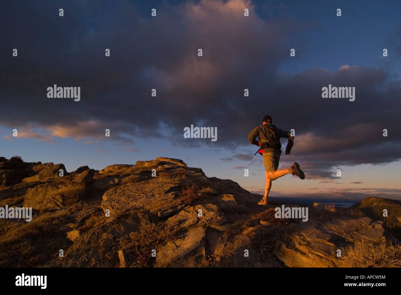 A man trail running at sunset in the mountains above Lake Tahoe ...